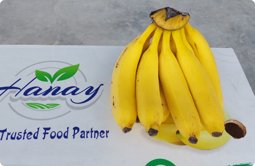 Hanay Foods – Offering Farmer's Love..